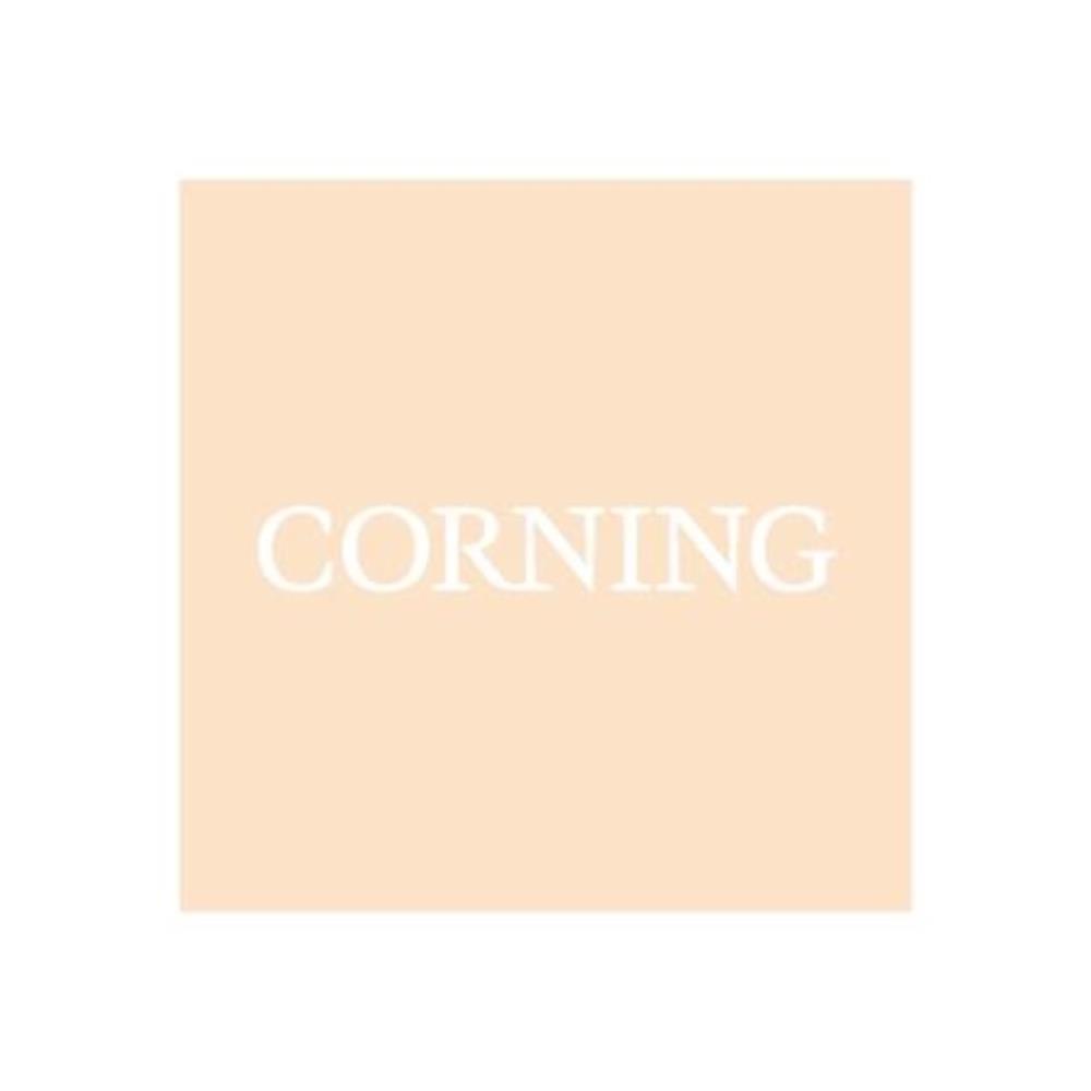 Corning 25cm2 Rectangular Cant | 431463 | CORNING | SE