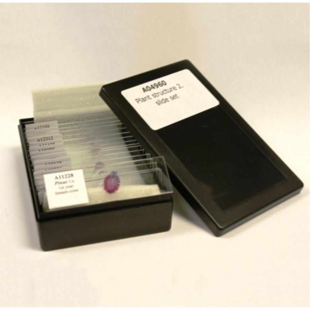 Histology 2 Microslide Set. | BB1102 | SE