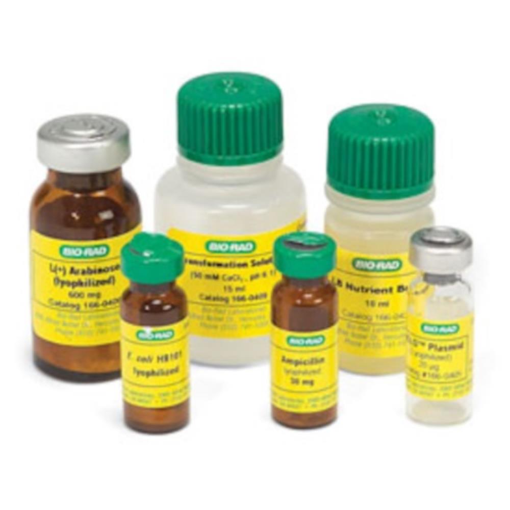 Bio-Rad Transformation Reagent | ELE1418 | BIO-RAD | SE