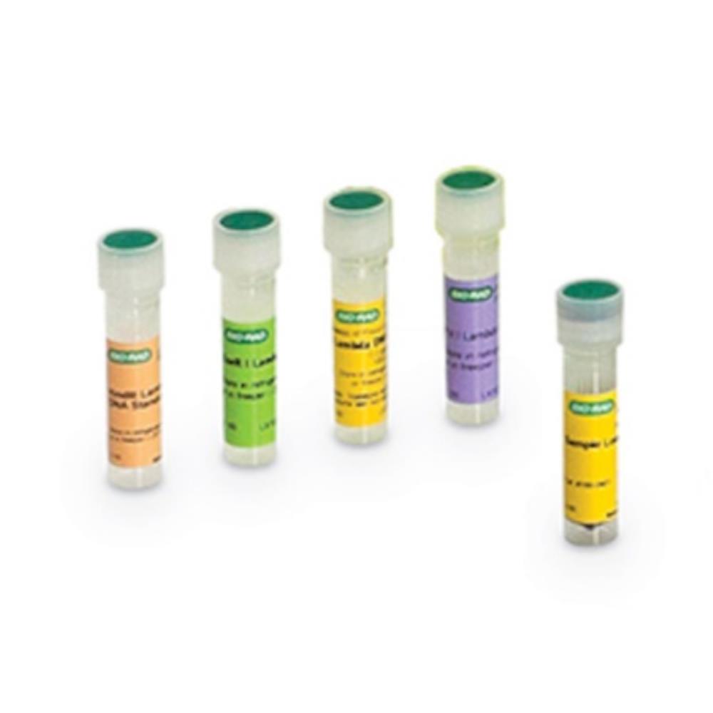 Bio-Rad Lambda DNA Kit Refill | ELE1444 | BIO-RAD | SE