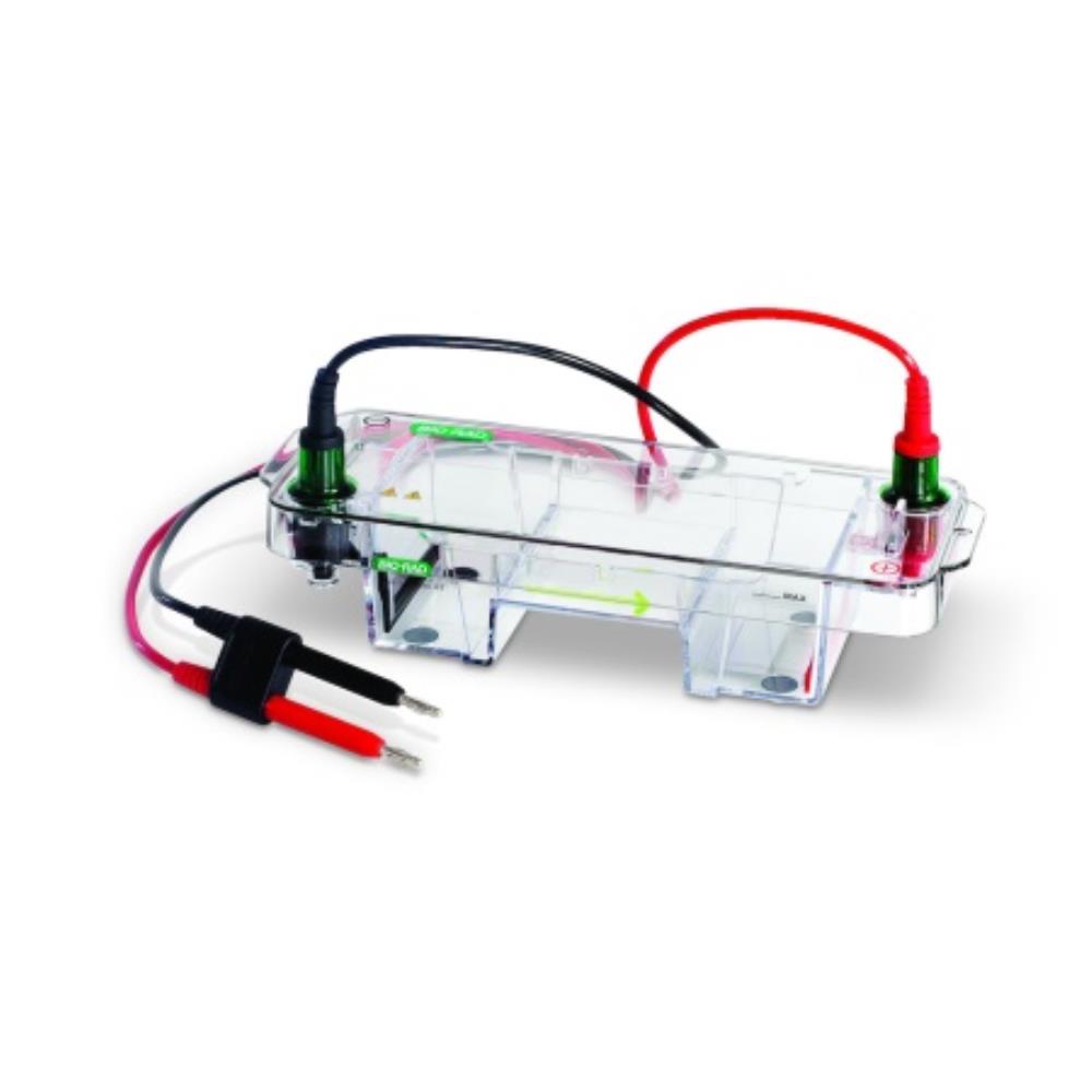 Bio-Rad Mini-Sub Cell GT Cell | ele1460 | BIO-RAD | SE