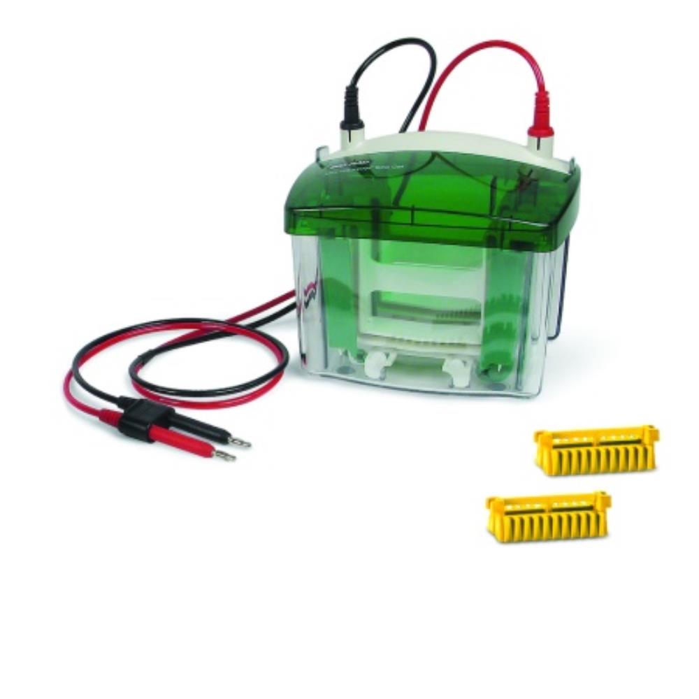 Bio-Rad Mini-PROTEAN Tetra Cel | ELE1466 | BIO-RAD | SE