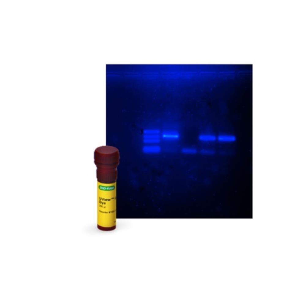 Bio-Rad UView 6x Loading Dye a | ele1468 | BIO-RAD | SE