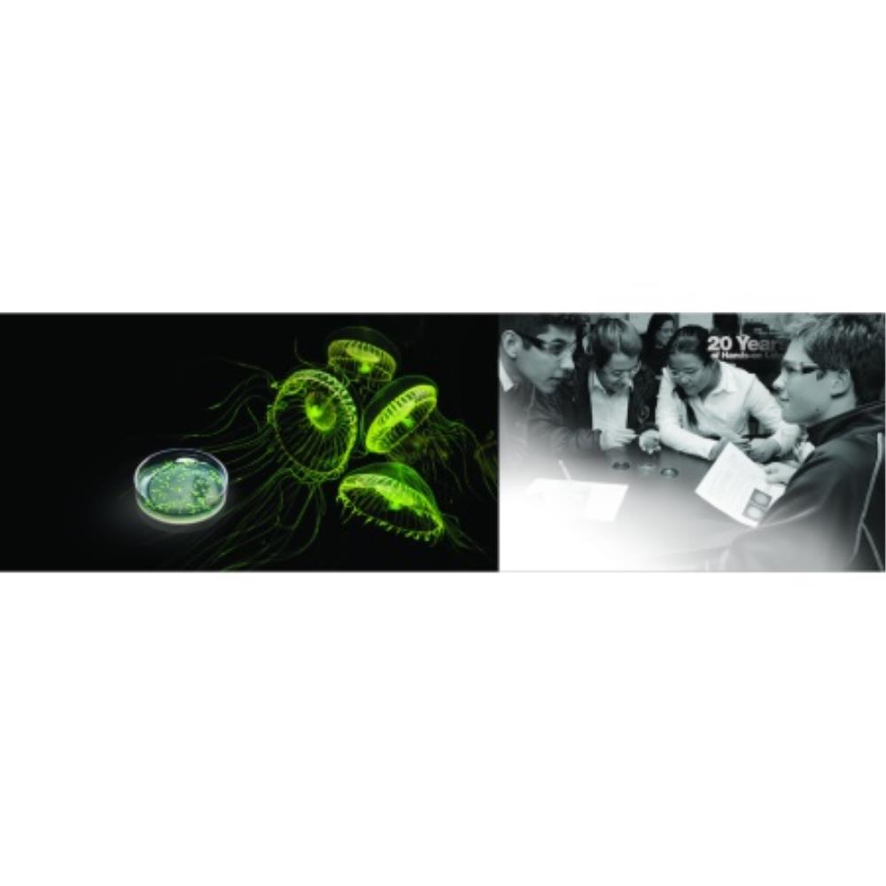 Bio-Rad pGLO Bacterial Transfo | ELE1496 | BIO-RAD | SE
