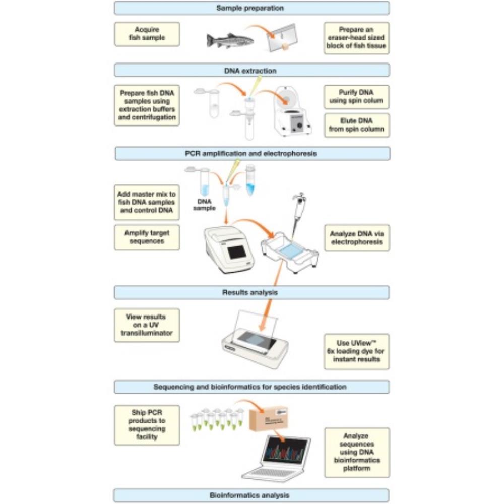 Bio-Rad Fish DNA Barcoding Kit | ELE1538 | BIO-RAD | SE