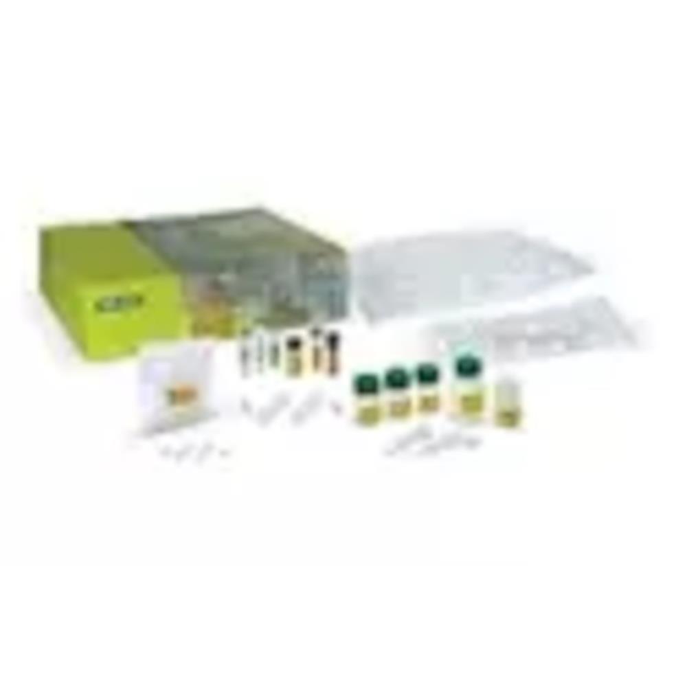 Bio-Rad Fish DNA Barcoding Kit | ele1539 | BIO-RAD | SE