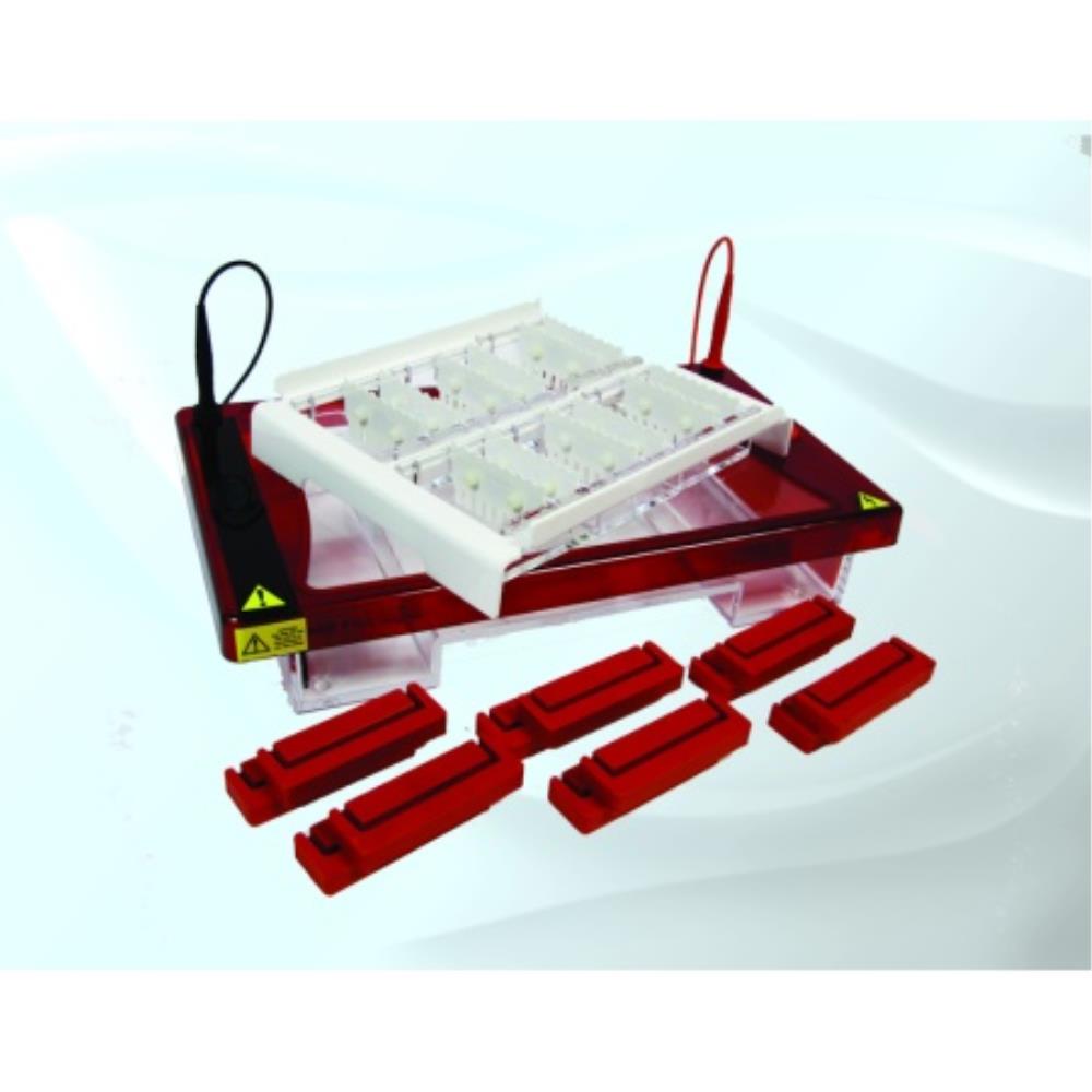 SLS Flowgen Teaching Agarose E | ELE2402 | SLS FLOWGEN | SE