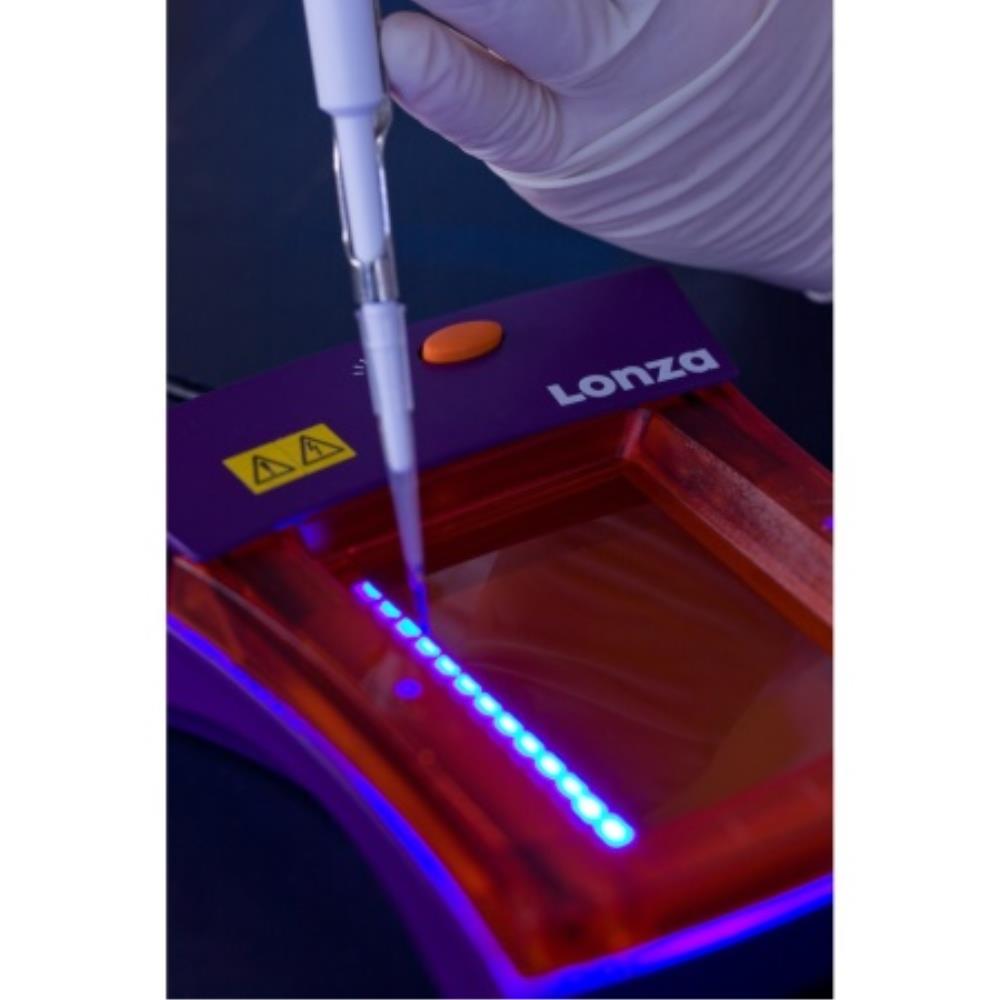 Lonza FlashGel RNA Marker 50 u | LZ50577 | LONZA | SE