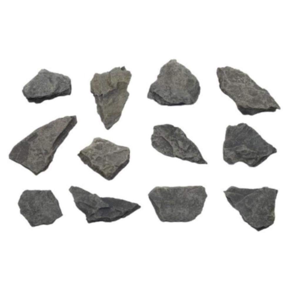Raw Carbonaceous Shale Sedimen | ROK1224 | EISCO | SE