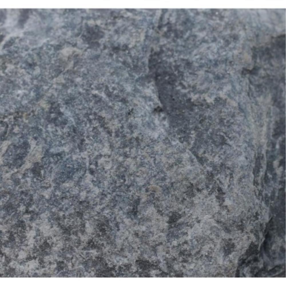 Raw Carbonaceous Shale Sedimen | ROK1224 | EISCO | SE