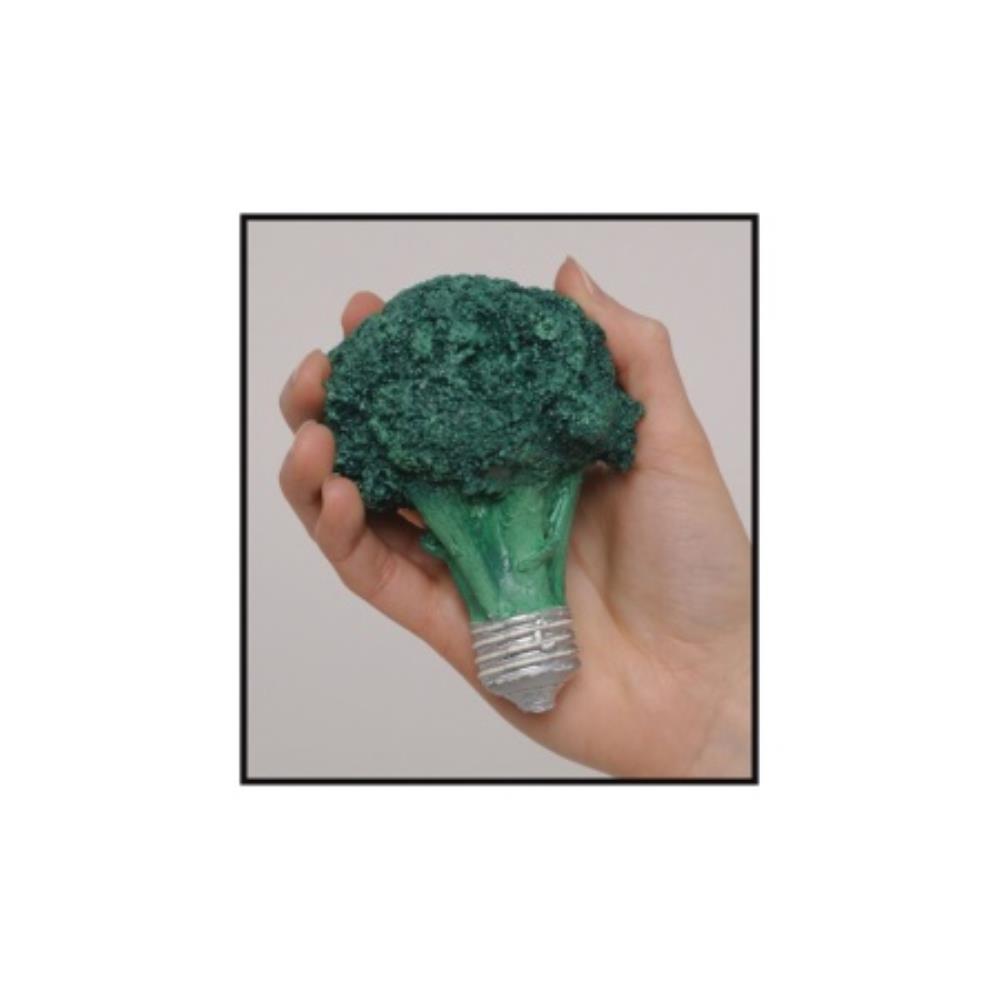 3B Visualize Your Portion Size | SE1020781 | 3B SCIENTIFIC | SE