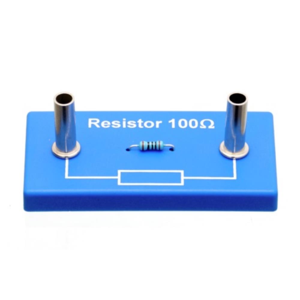 Resistor 100 Ohm | SE2070 | EISCO | SE