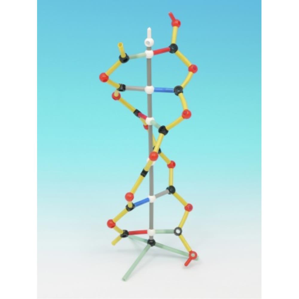 Orbit Small DNA Model | SEL1016 | COCHRANES OF OXFORD | SE