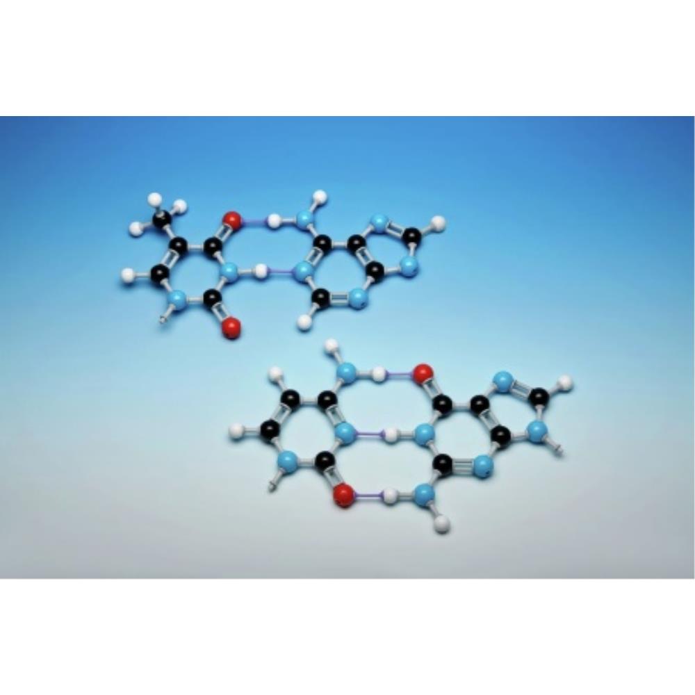 DNA 4 Bases ACGT Model | SEL2082 | MOLYMOD | SE