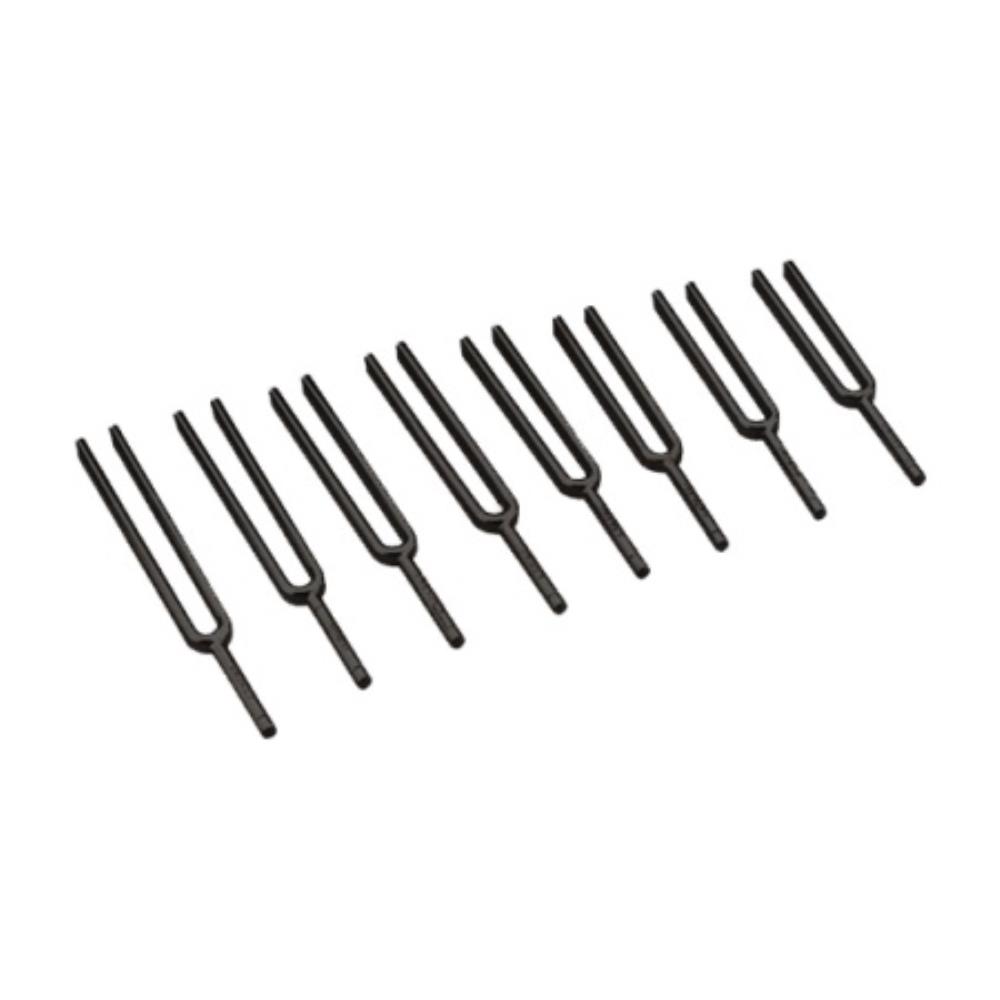 Tuning Forks Set in Plastic Ca | TUN1016 | EISCO | SE